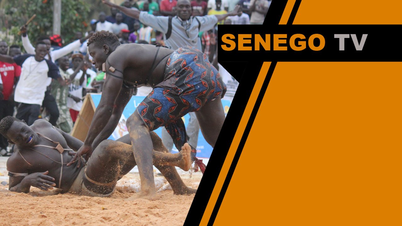 Senego TV: Revivez le combat Mama Lamine vs Zale Bambey
