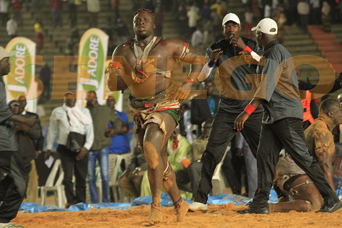 Coalitions des lutteurs – Boy Kaïré : “Ama Baldé va perdre des ...