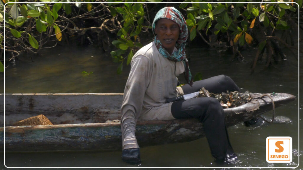 Fatou Sonko, la brave dame qui vit de la pêche à Elinkine (Senego TV)