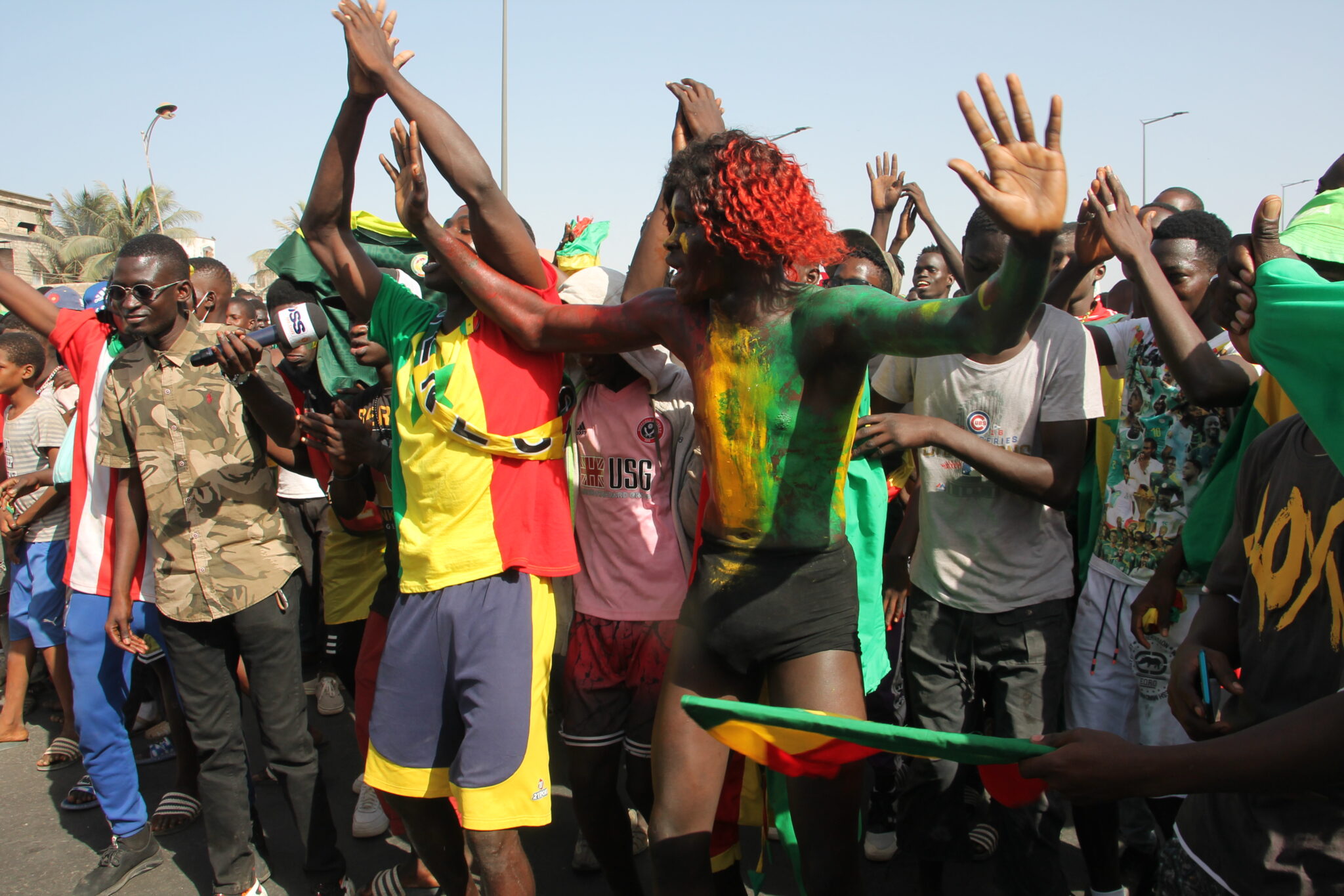 Revivez en images le monde fou qui est sorti accueillir les Lions ...