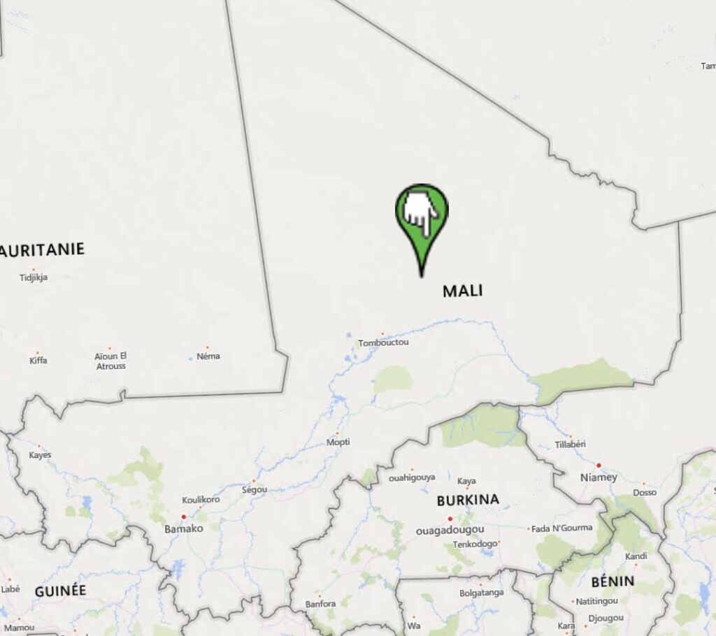 Mali : Une exploitation forestière illégale financée par des ...