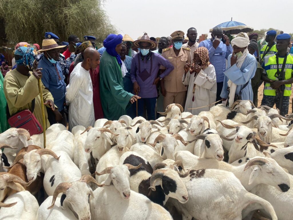 Dahra-Djolof : 100 tonnes d’aliment de bétail et un plaidoyer pour les ...