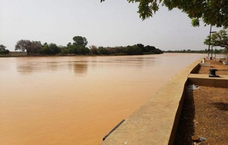 Sénégal – Podor sous la menace des eaux : « Le niveau du fleuve ...