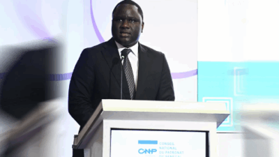 Infrastructures au Sénégal : L’appel de Déthié Fall au privé, « nous ...