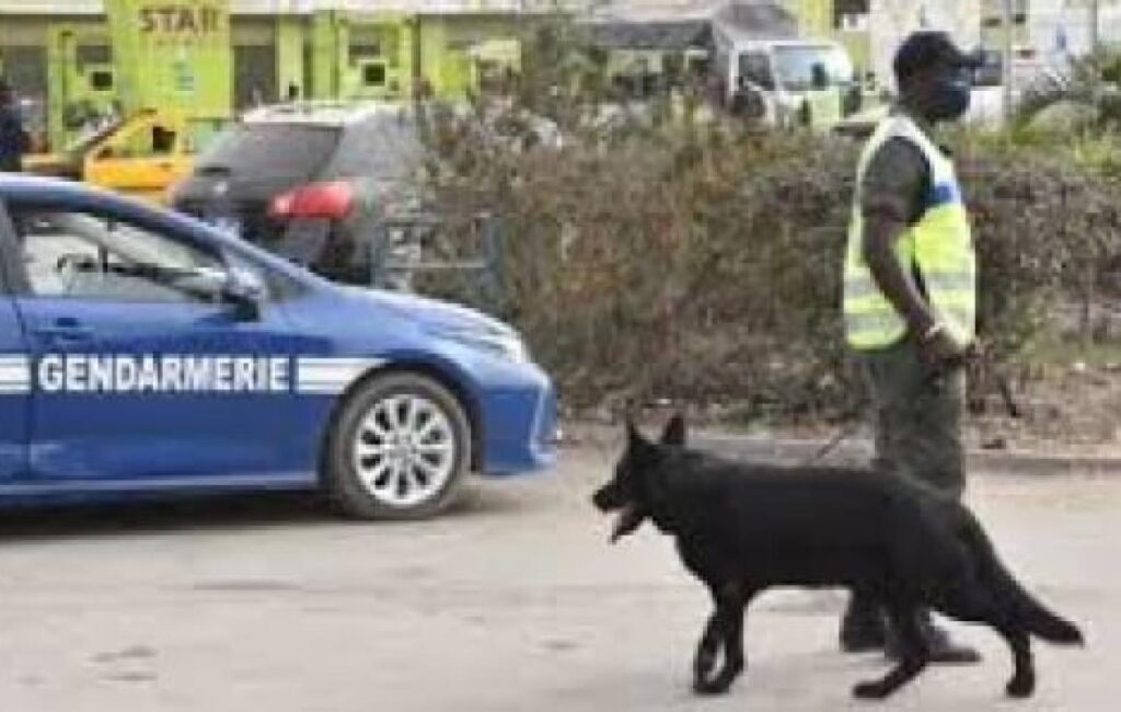 ESOGN 2026 : La Gendarmerie nationale dément les annonces de ...