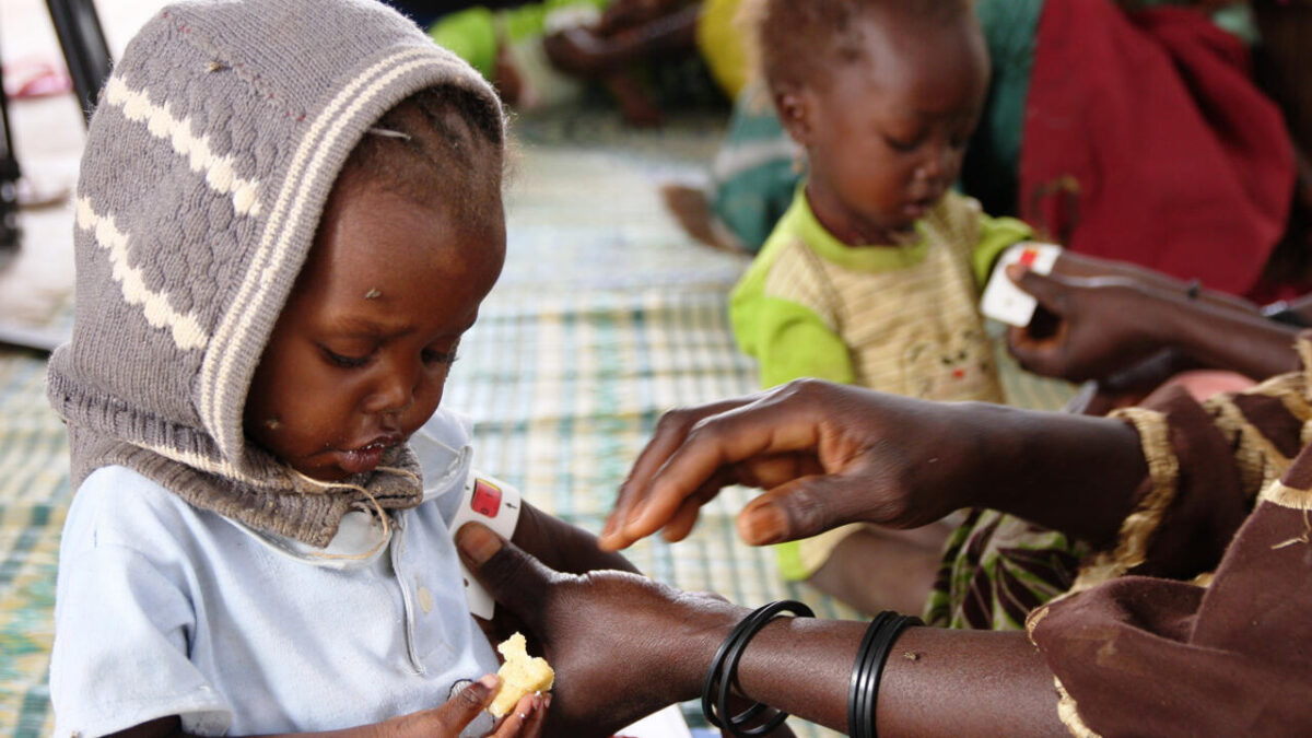 Crise alimentaire à Diourbel : La faim menace des milliers de familles