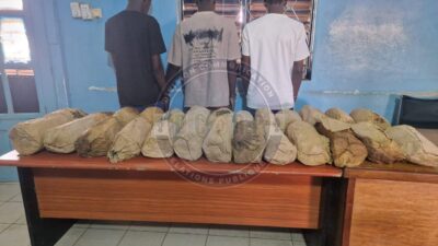 Lutte contre le trafic de drogue : 26 kg de chanvre indien saisis à ...